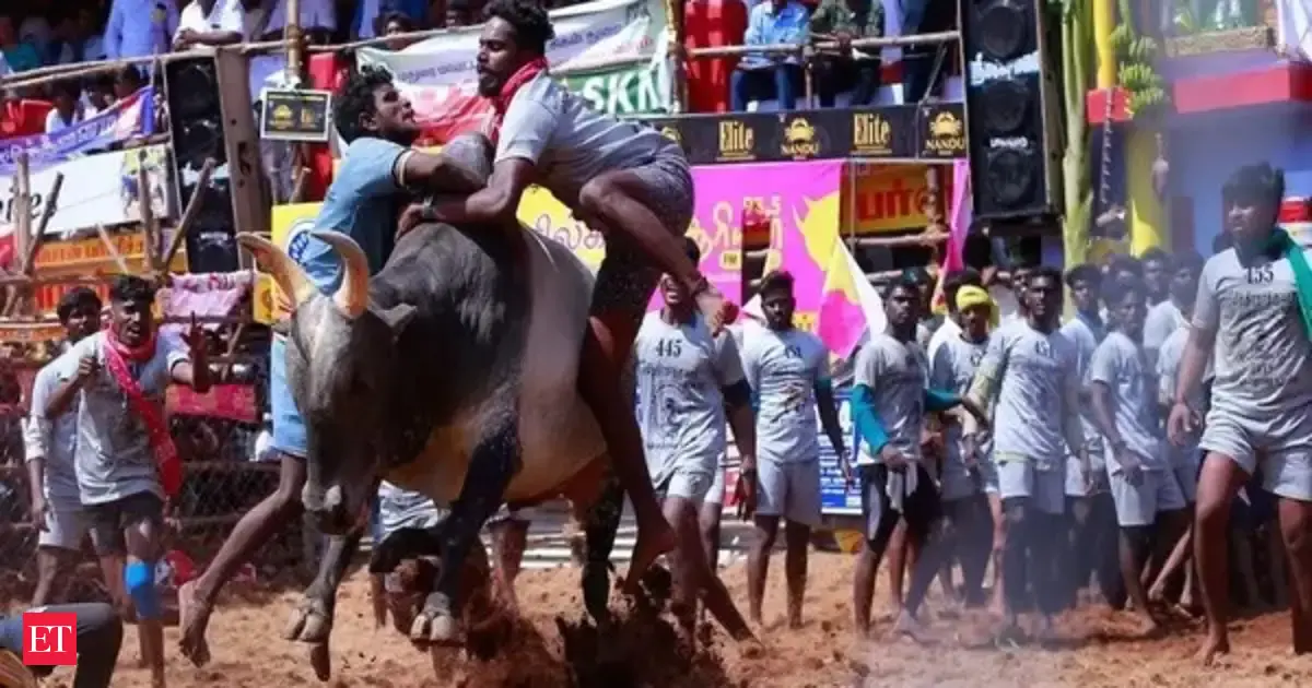 Jallikattu 2023: Tamil Nadu: 'Jallikattu 2023' event beings in Madurai ...
