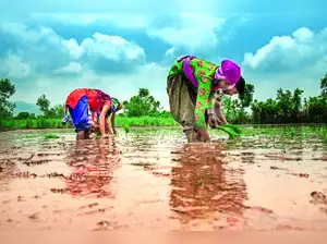 nregs: Work generation under NREGS surges in December - The Economic Times