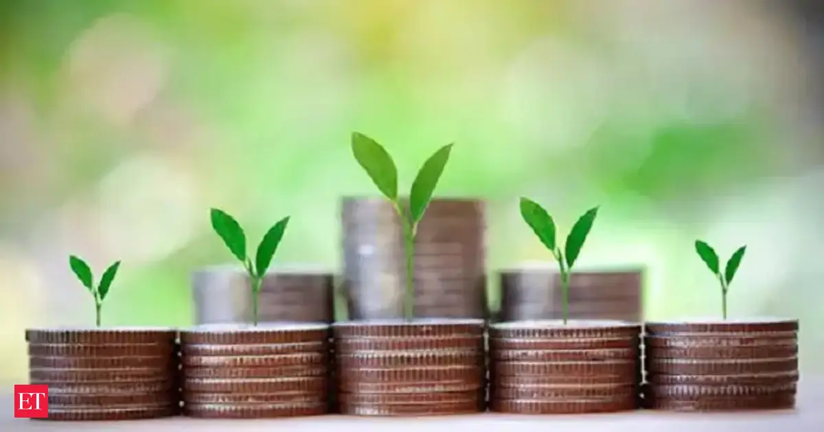 What is a Contra Fund & how does it work? - The Economic Times