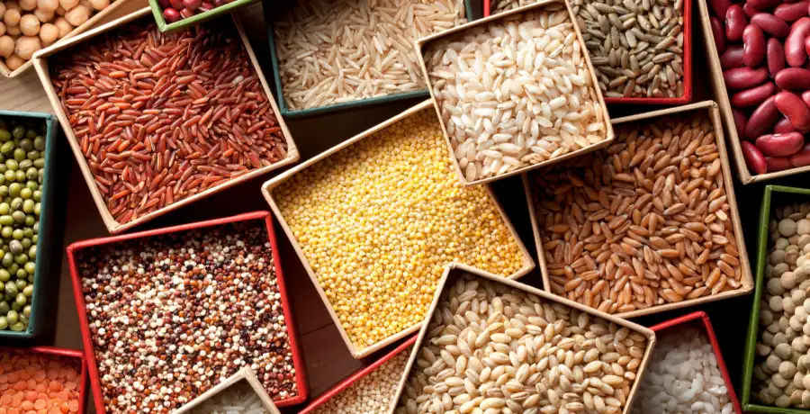 millets: Mindblowing health benefits of millets, the 'Shri Anna' that ...