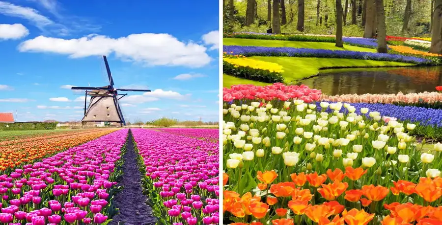 spring travel: From Okinawa To Monet's Garden: Top 10 Spots To Add ...