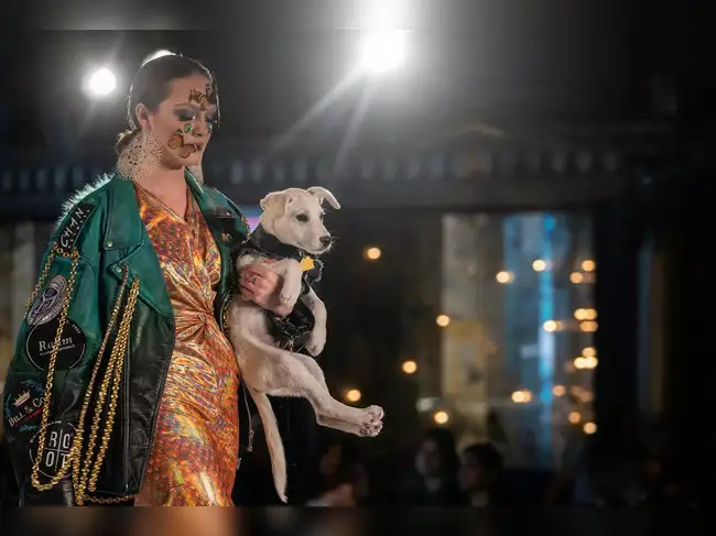 Dogs turn runway models at New York Fashion Week - The Economic Times