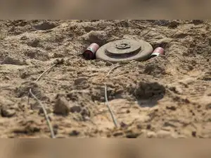 Jammu & Kashmir LOC: Several landmines explode amid forest fire along ...