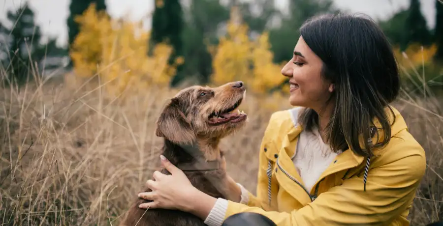 Best Dog Exercise Best Mental Exercises For Your Dog EconomicTimes