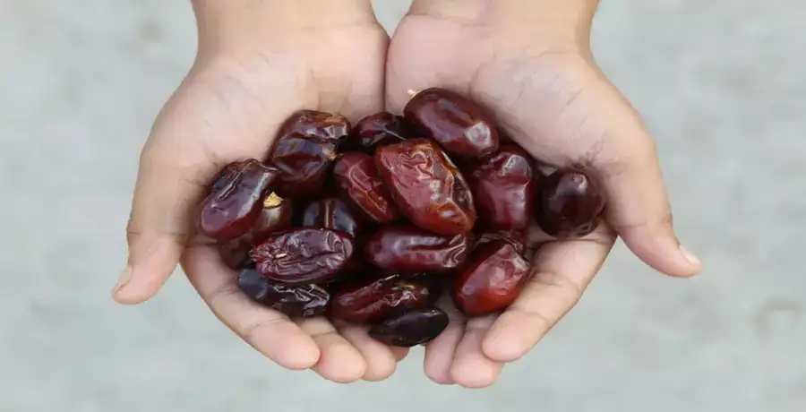Dates Benefits: Health benefits of dates - the sweet superfood ...