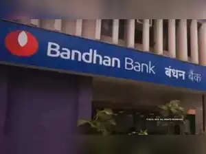 bandhan: IDFC MF to be rebranded as Bandhan MF - The Economic Times