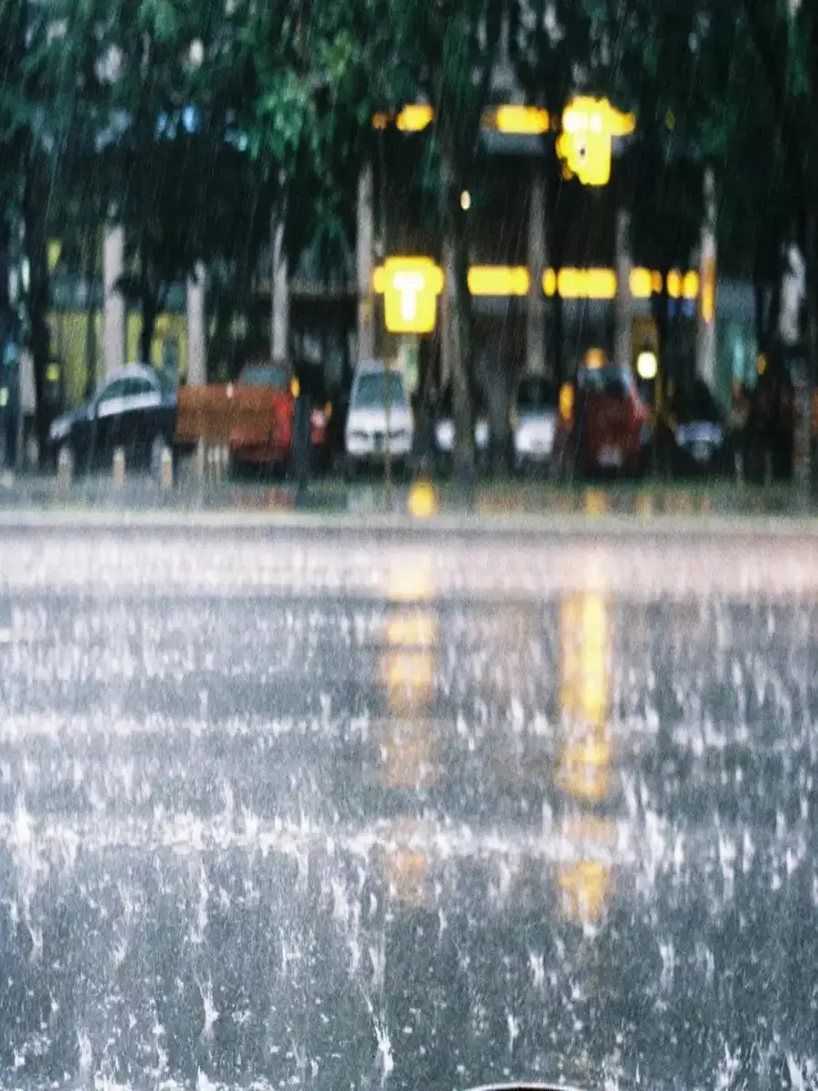 Erratic rains, thunderstorms & more in March impacts lives and ...