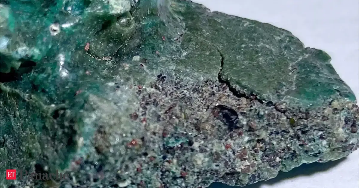 Scientists make 'disturbing' discovery on remote island, spot plastic ...