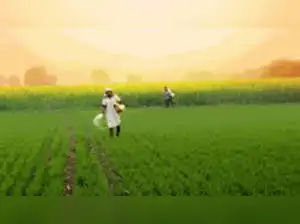 Assam to boost scientific research in natural farming - The Economic Times