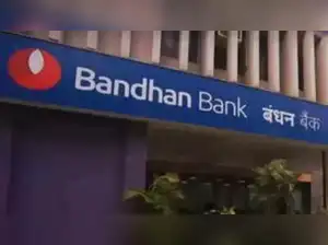 Bandhan Bank Branches: Bandhan Bank adds 50 new branches to its network ...