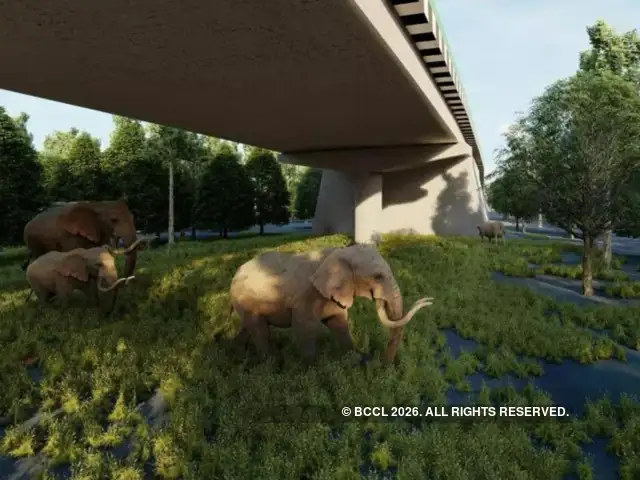 Longest wildlife corridor - Drive to Dehradun from Delhi faster than ...