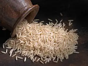 India deserves GI tag for its basmati rice - The Economic Times