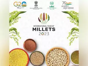 Why India is making such a big deal out of millets - The Economic Times