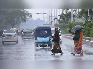 Karnataka weather: IMD forecasts heavy rain with thunderstorm in some ...