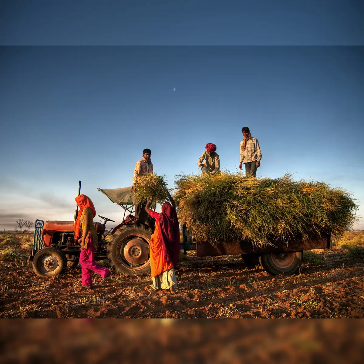 Modern Indian Farmers Cereal Systems Initiative For South Asia (CSISA)