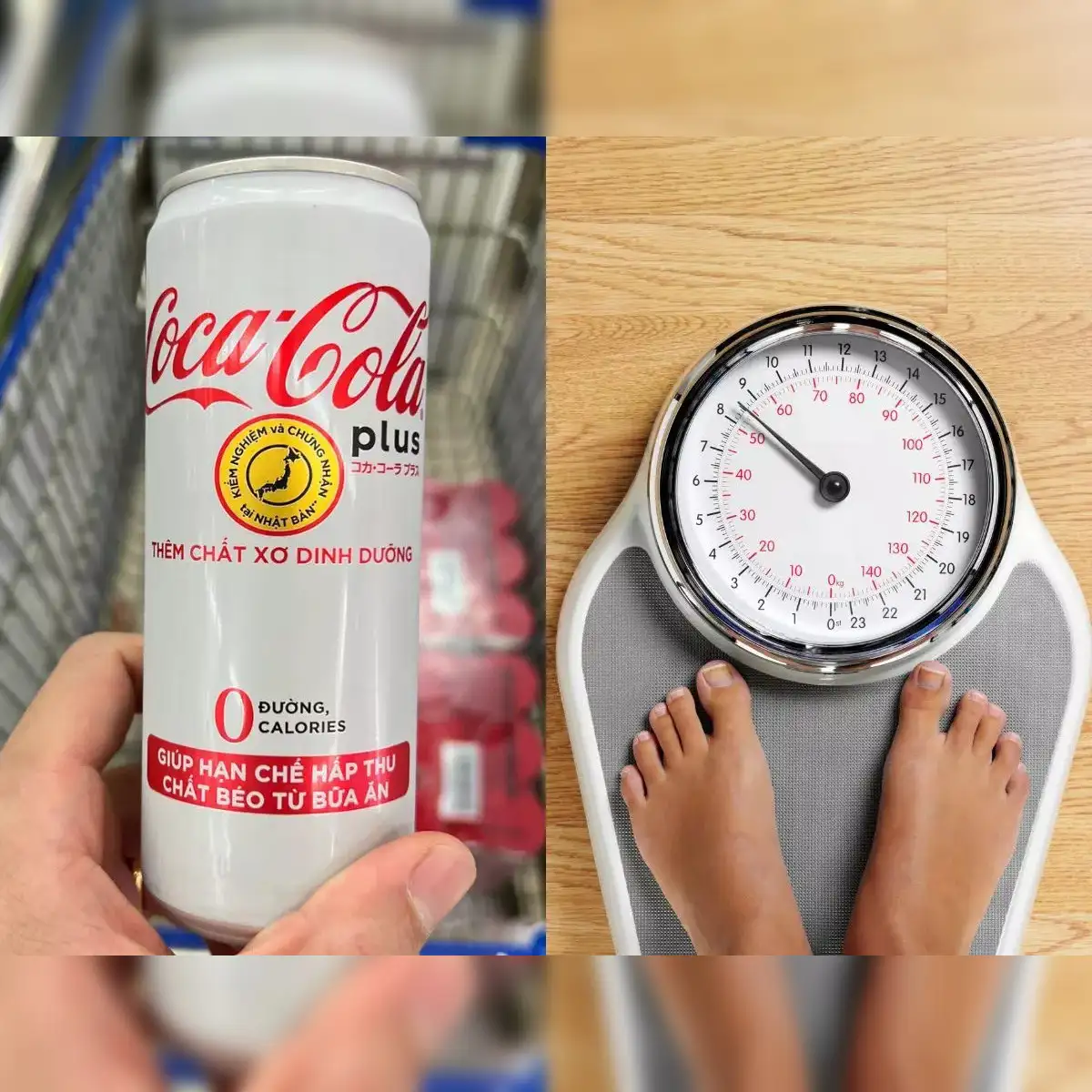 100 Pund Cola CQ Cola 12oz Can 100mg 100mg (Hybrid) Beverages By CQ