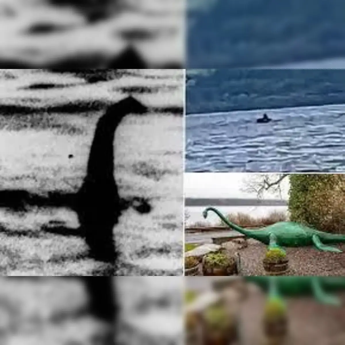 River Monster Sightings