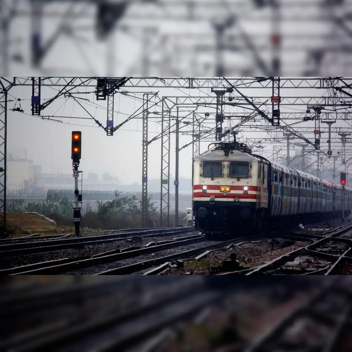 Nature Reserve Level Crossing The Abc Railway Guide