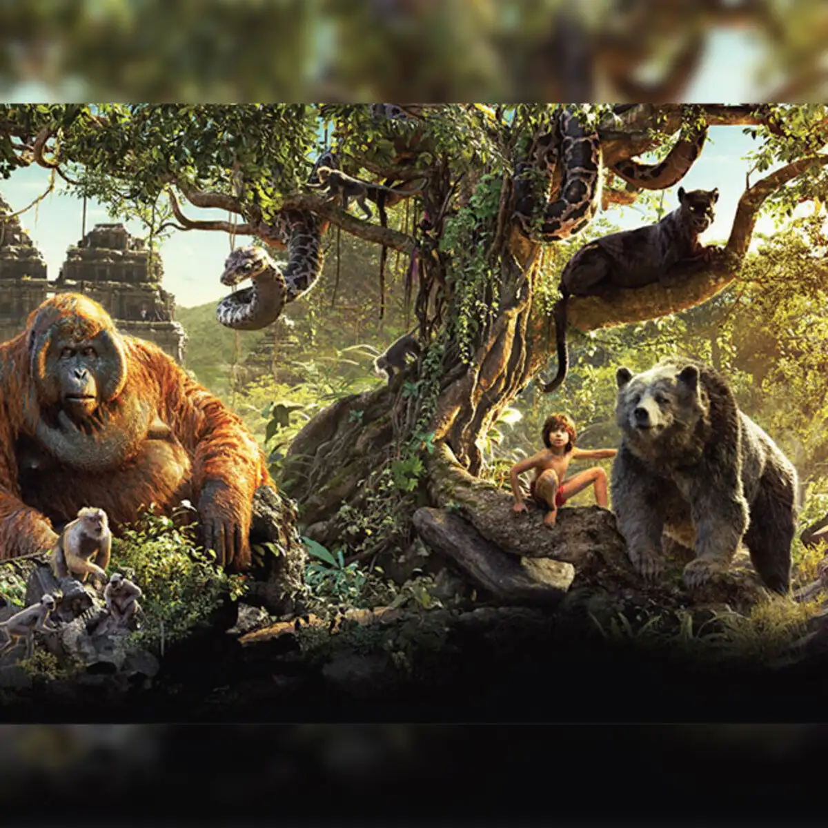 Jungle Book The Jungle Book (1967) IMDb