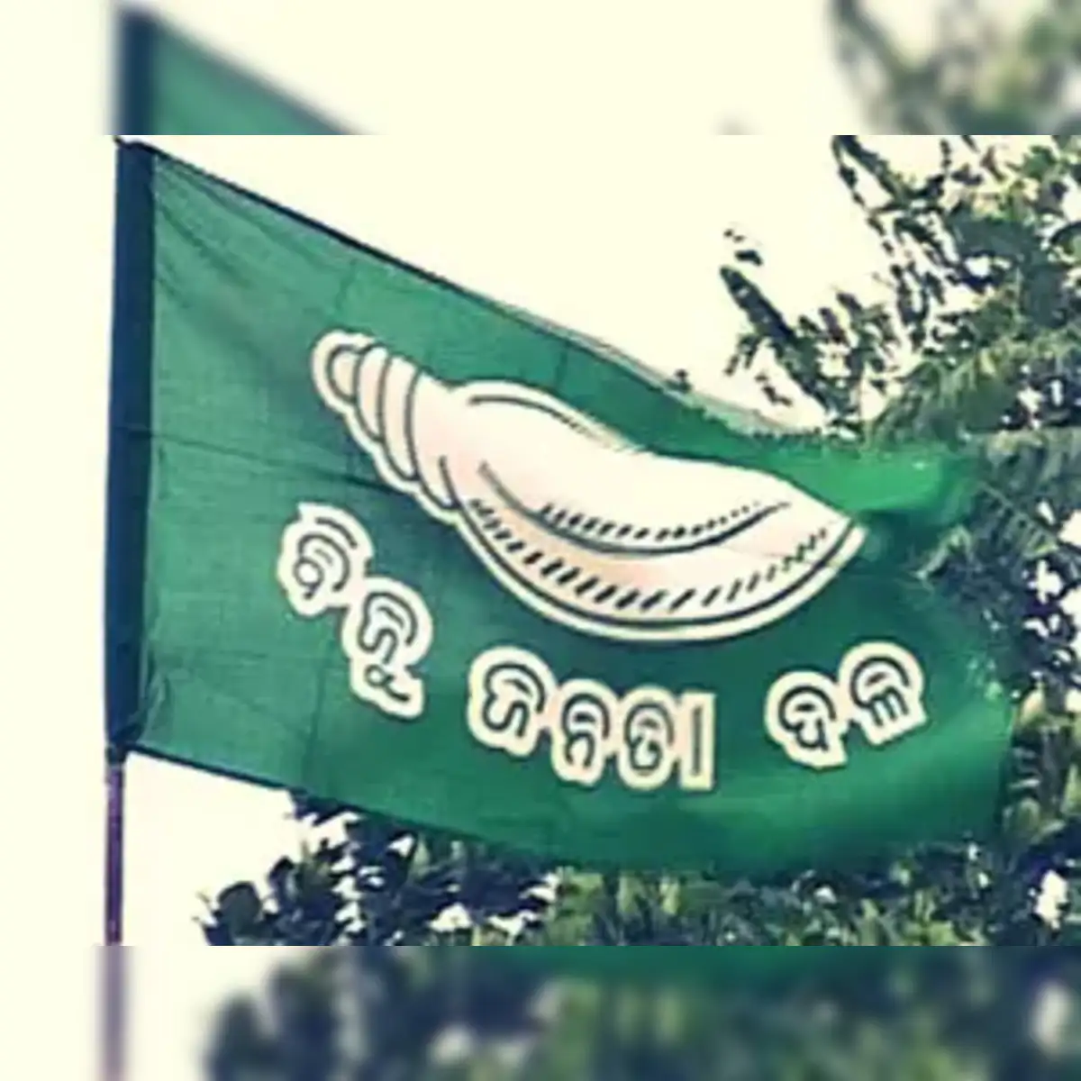 Bjd Party Logo BJD MPs Shri Bhartruhari Mahtab, Former MP Shri