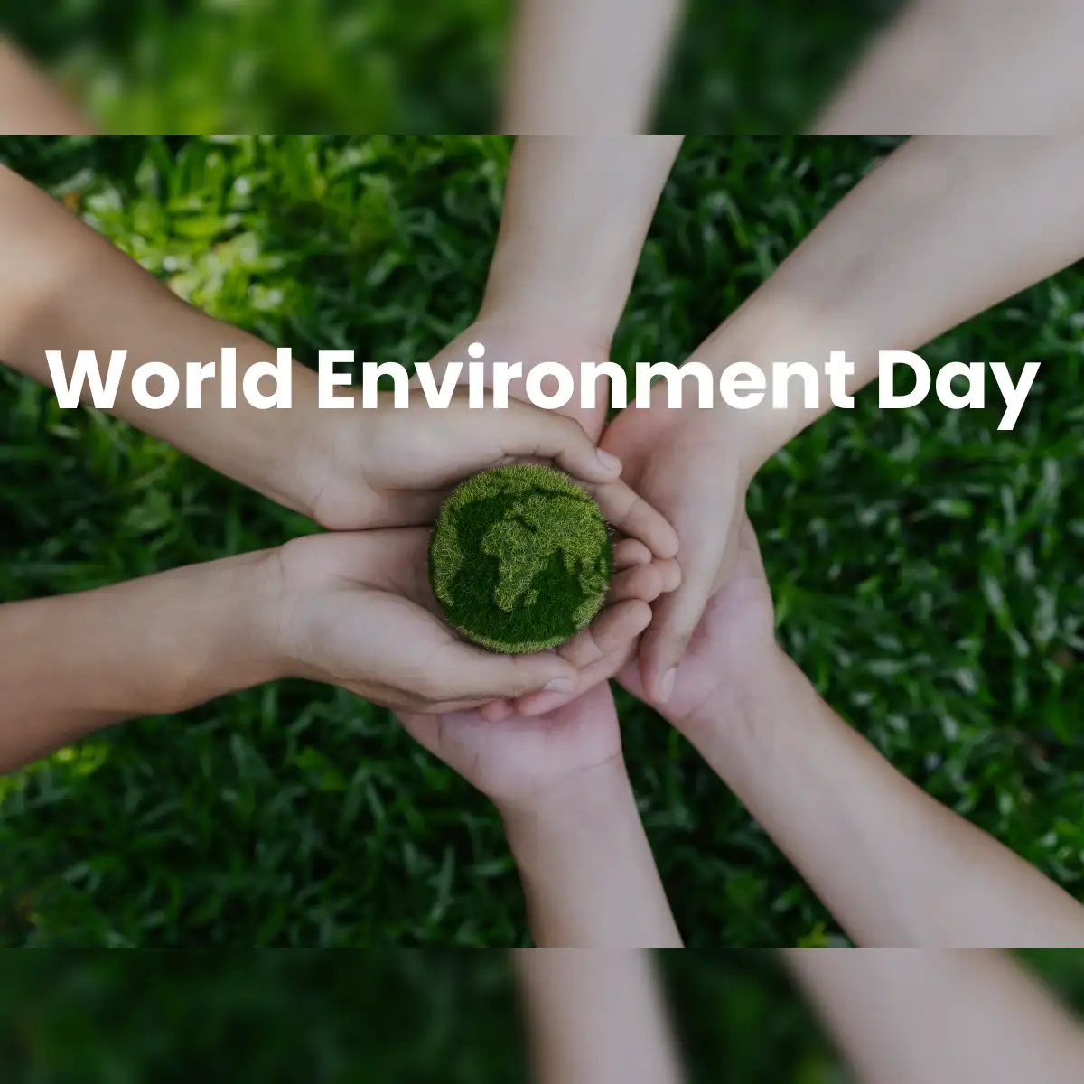 Happy Environment Day Quotes Earth Day 2023: Know The Theme; Check Out