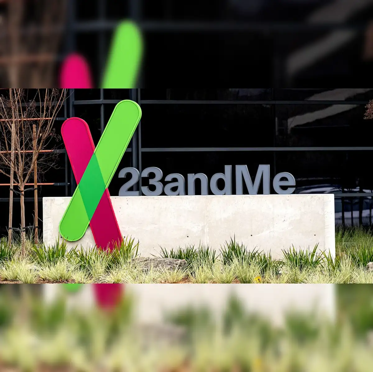23andme Logo Transparent