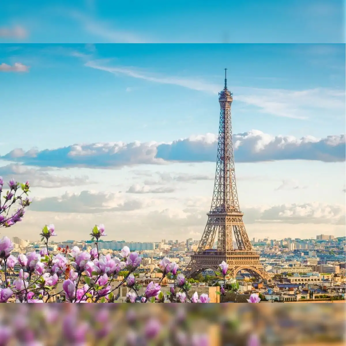 Paris Flag The Olympic Flag Is In Paris! Ville De Paris