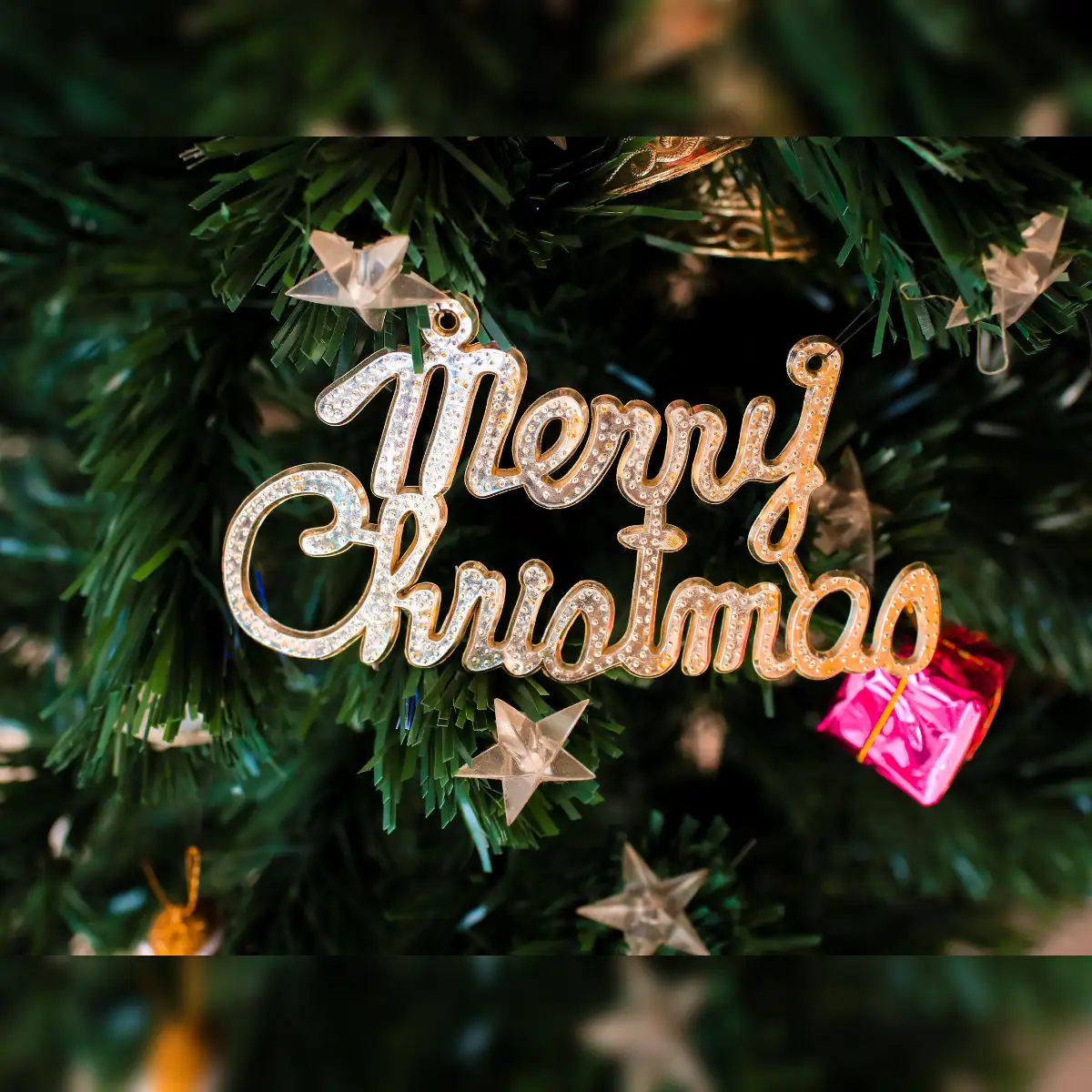 Chrismas wishes store