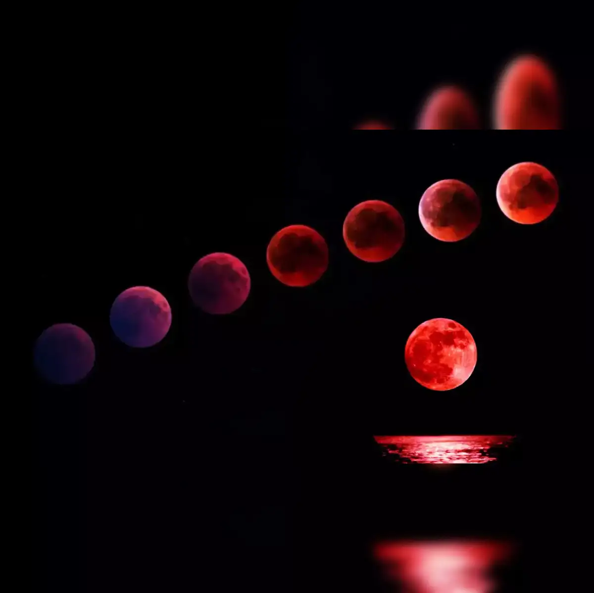Red Moon Photography