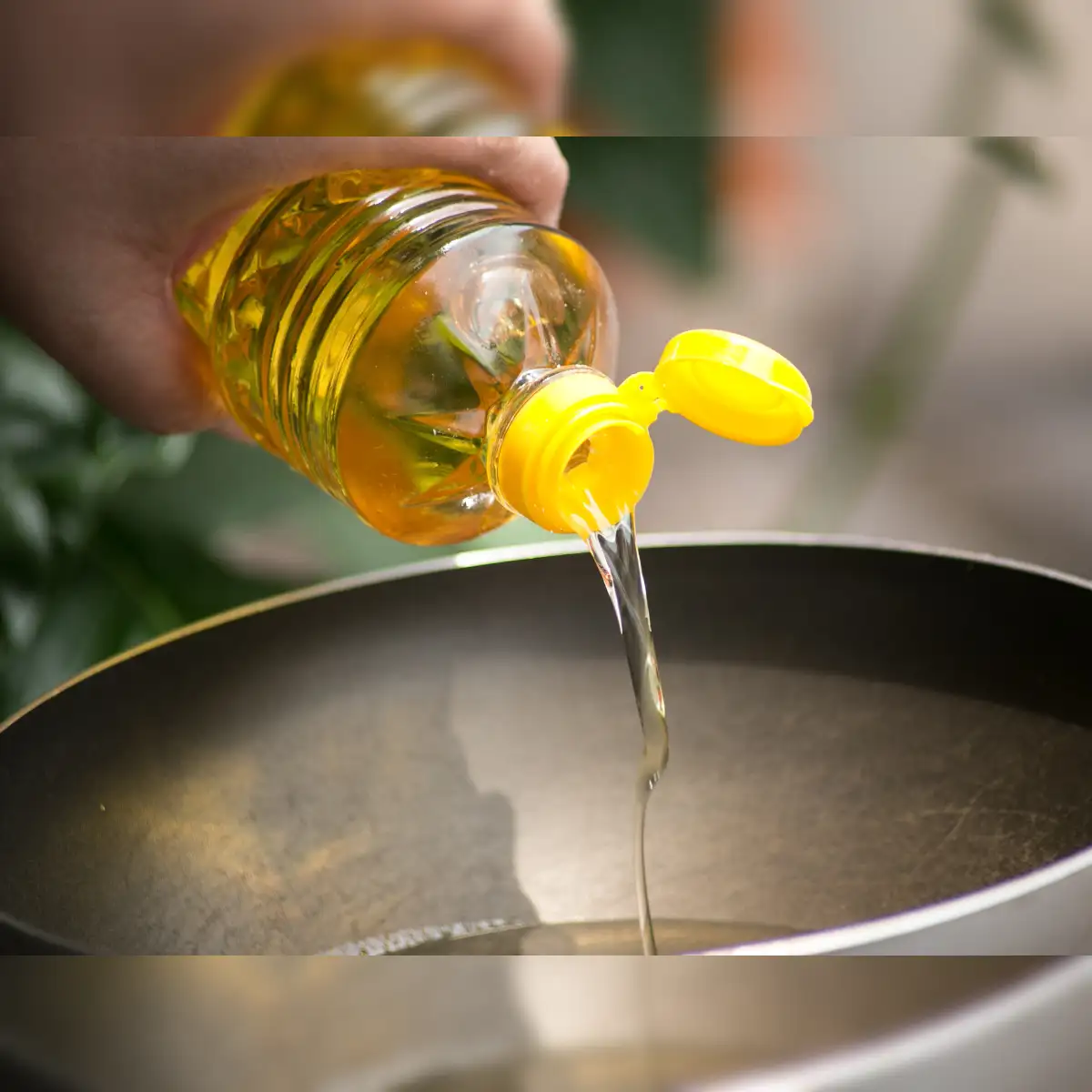 Edible Oil