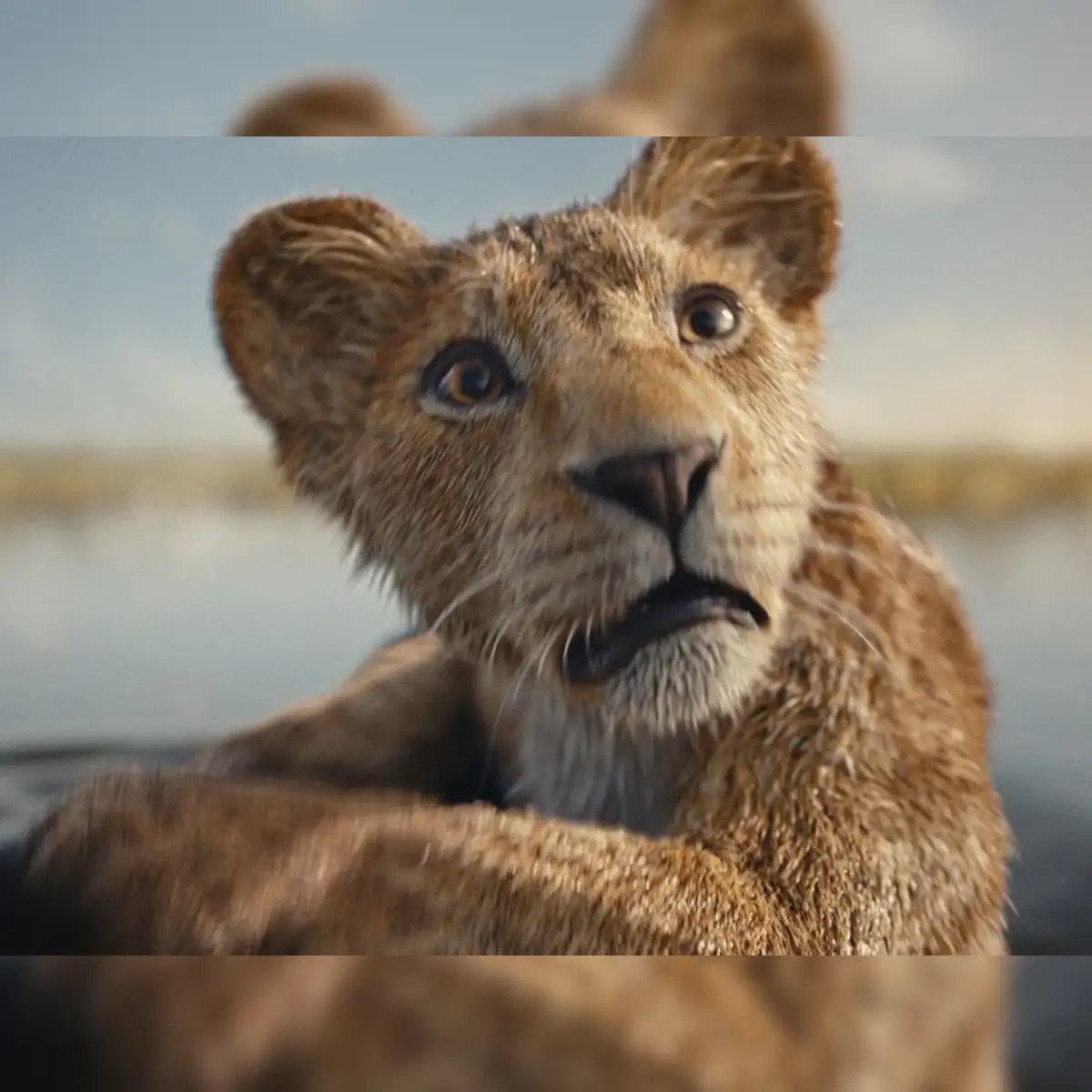 Mufasa Lion King Ott