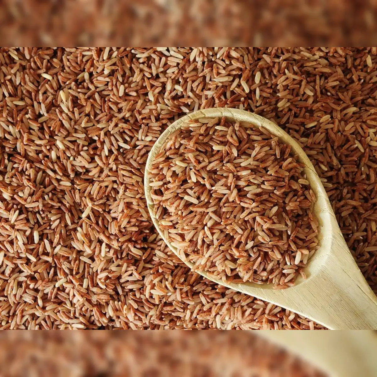 Brown Rice Classic New Orleans Vegan Dirty Rice | Success® Rice