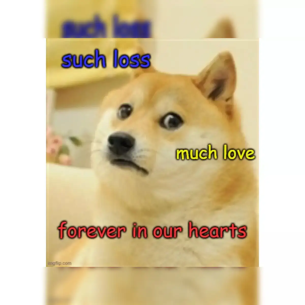 Doge Shibe Uau Dogecoin Watch Out! 'Shiba Inu' Token Muscles Into