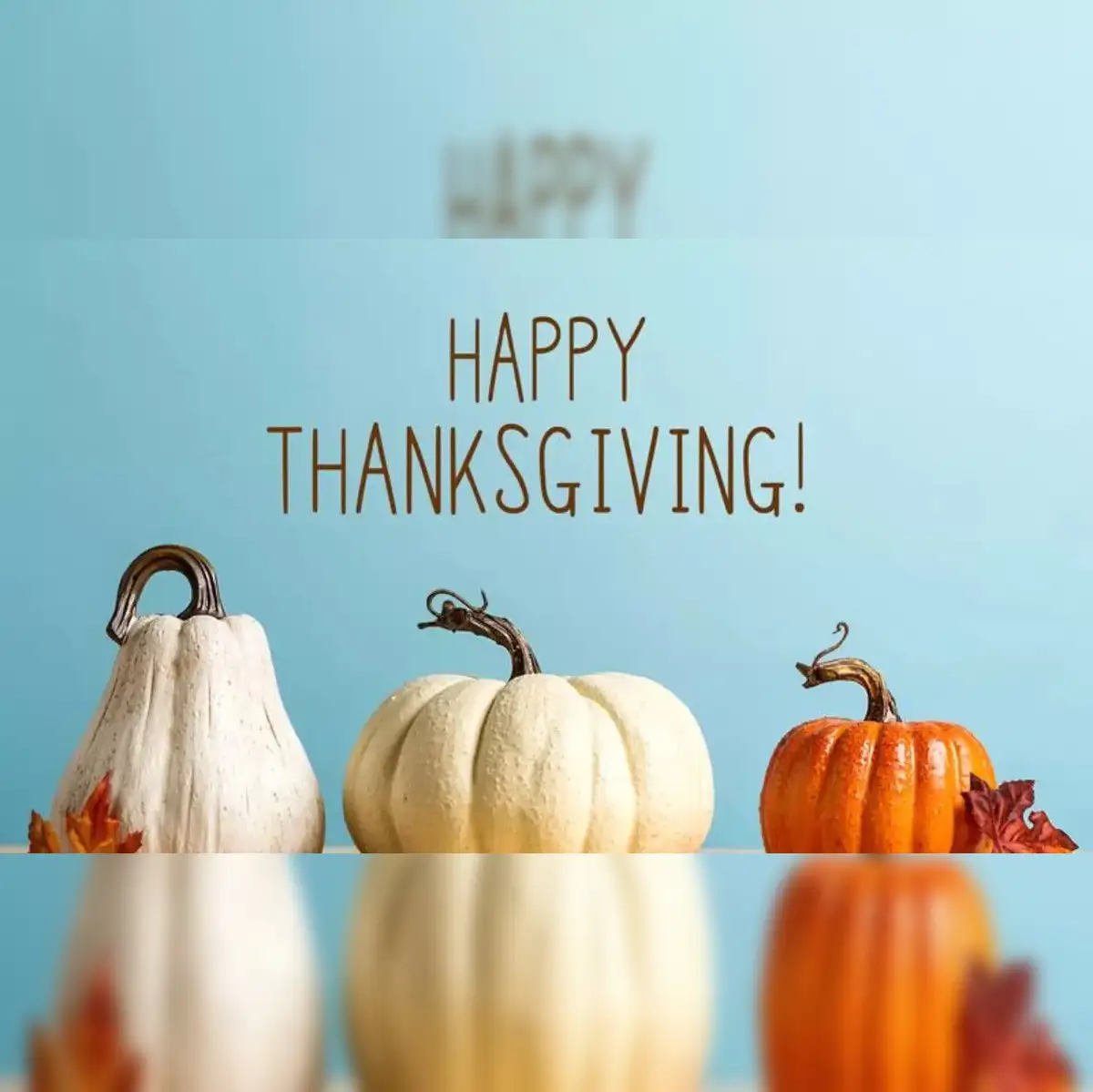 Happy Thanksgiving 2024 Quotes