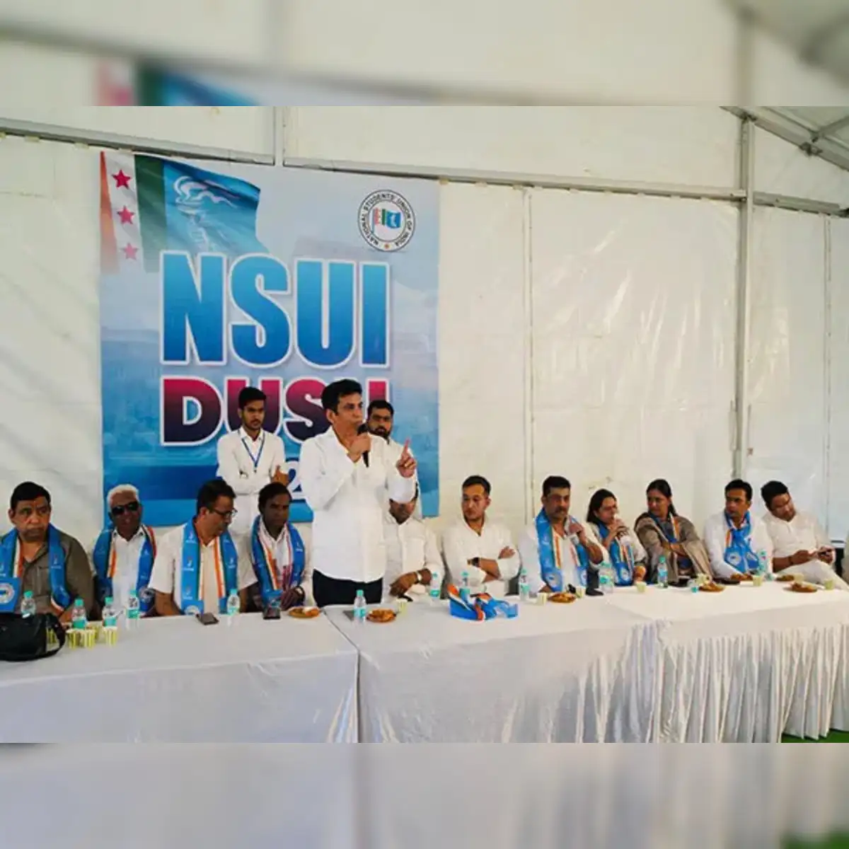 Nsui Logo