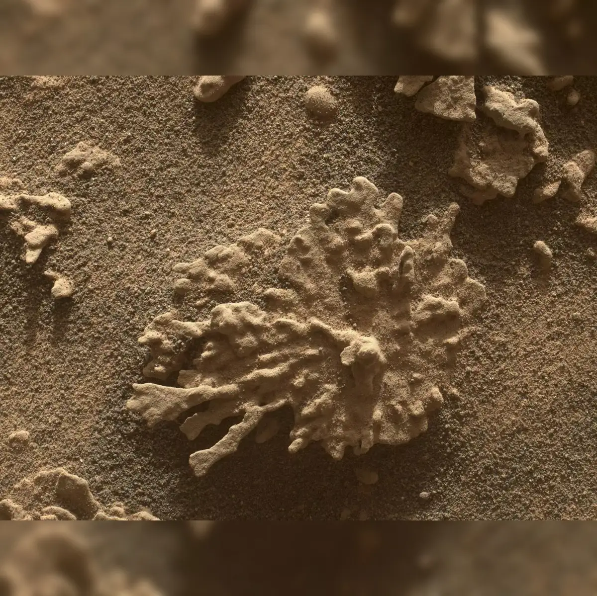 Nasa Life On Mars Paper