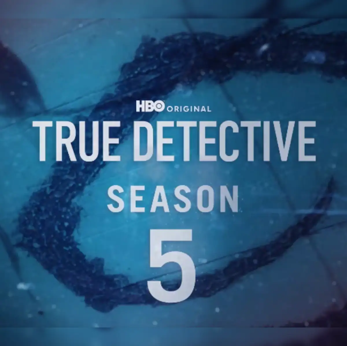 Real Detectives Hbo