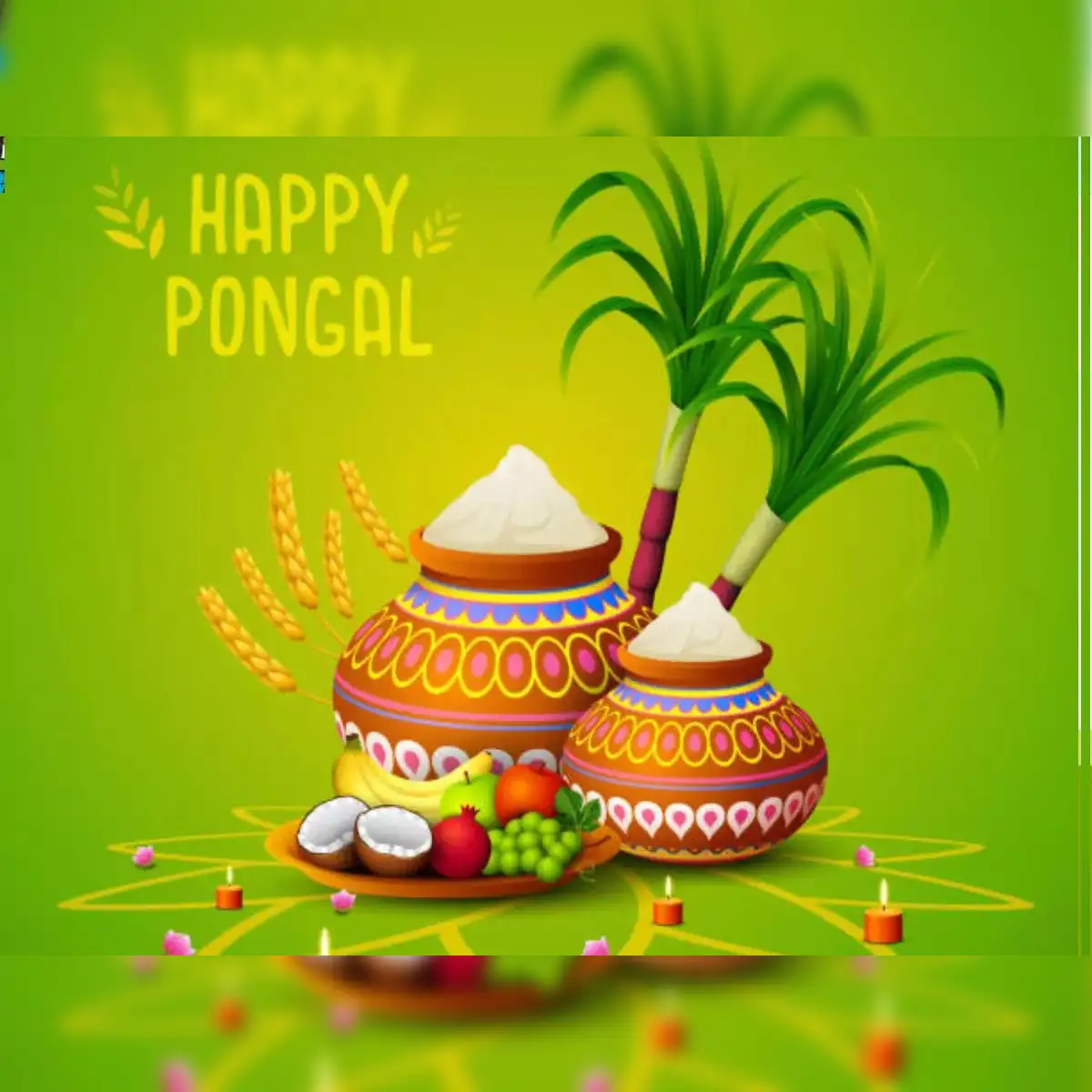 Pongal Harvest Festival Of India