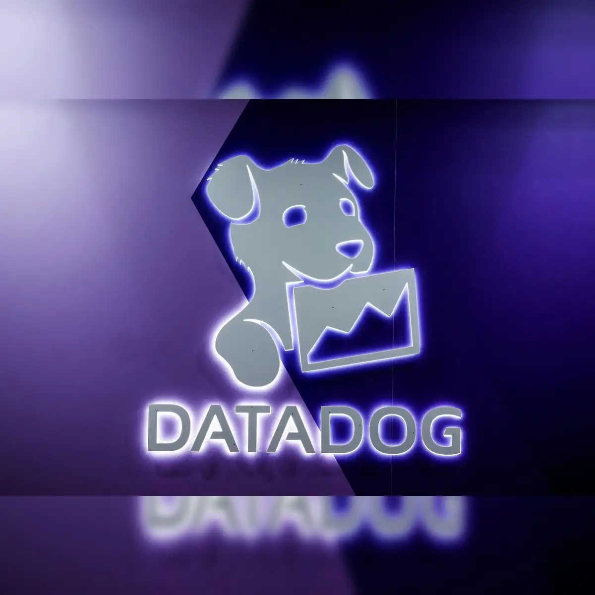Datadog Logo