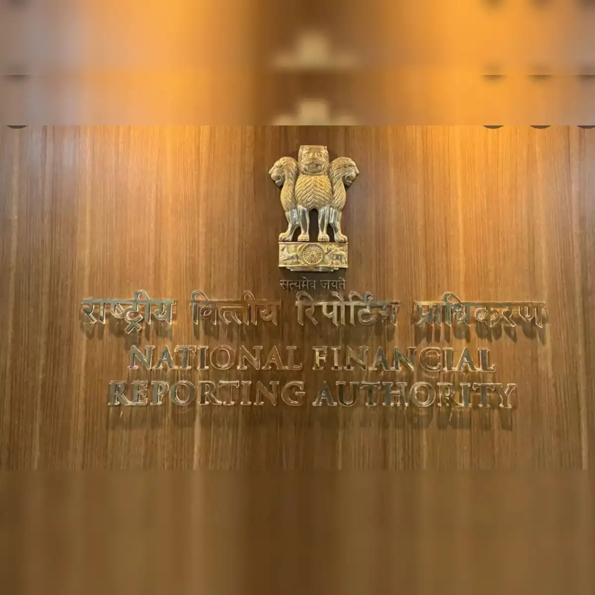 Nfra 2 The Functions, Duties And Powers Of The NFRA