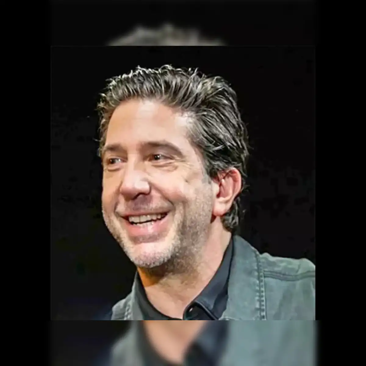 David Schwimmer Face Now