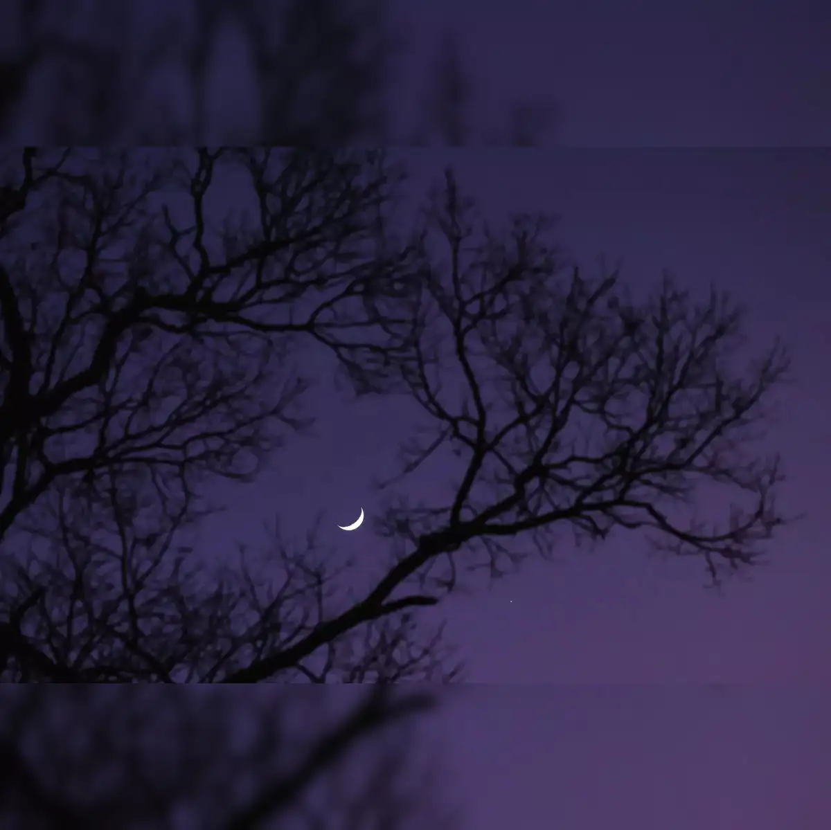 Venus Images Mysterious Lights On Venus Aren't What Scientists