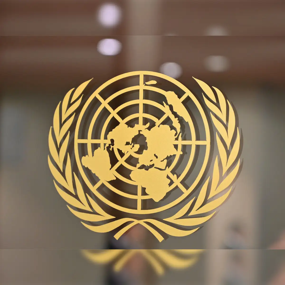 Un Economic And Social Council Logo