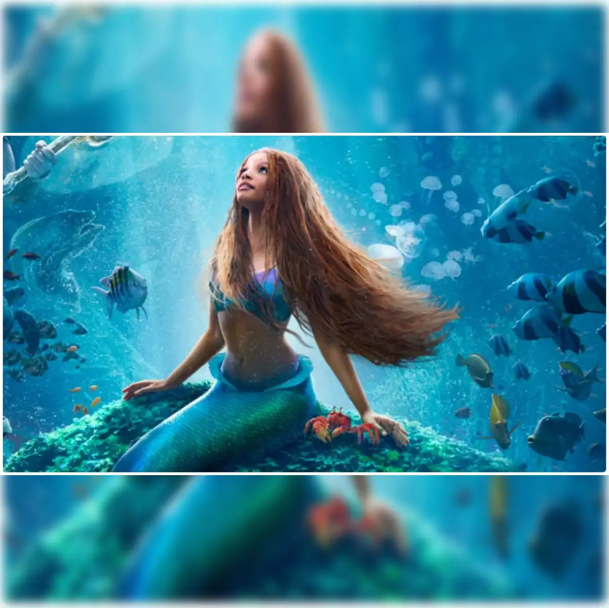 Ariel The Little Mermaid Cartoon Cast Infoupdate