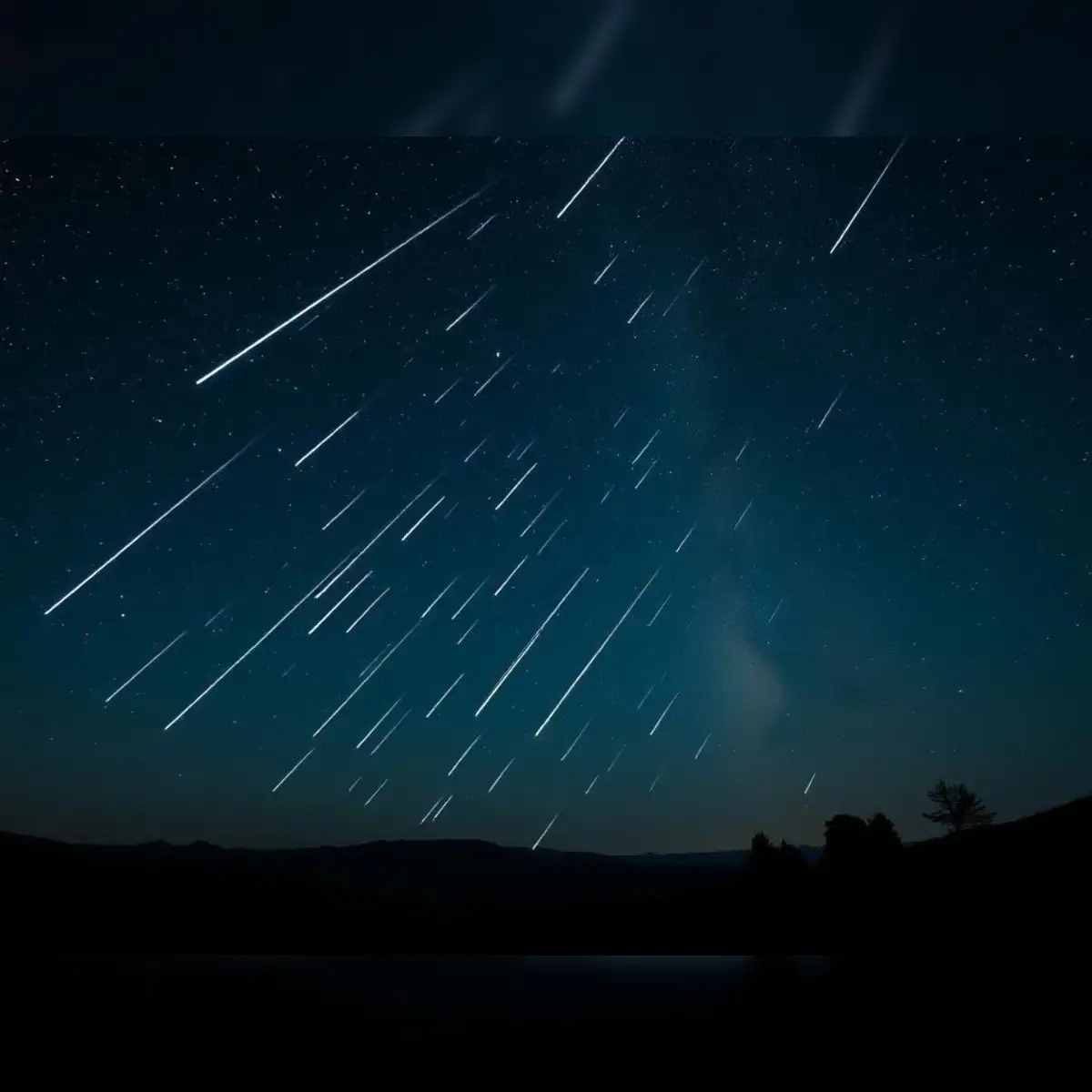 Perseids Perseid Meteor Shower Night Sky Photos Meteor Perseids Meteor