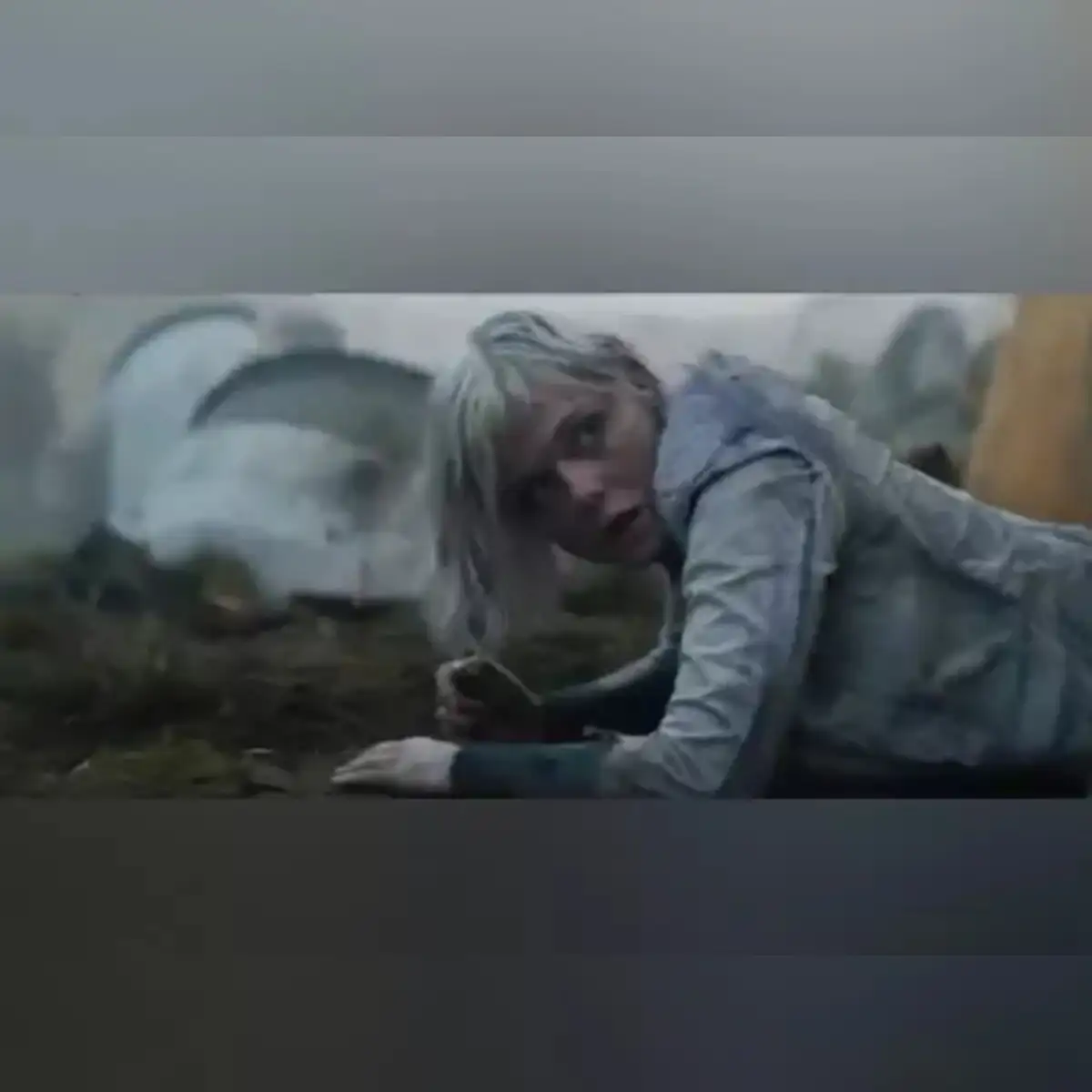 predator 6 release date