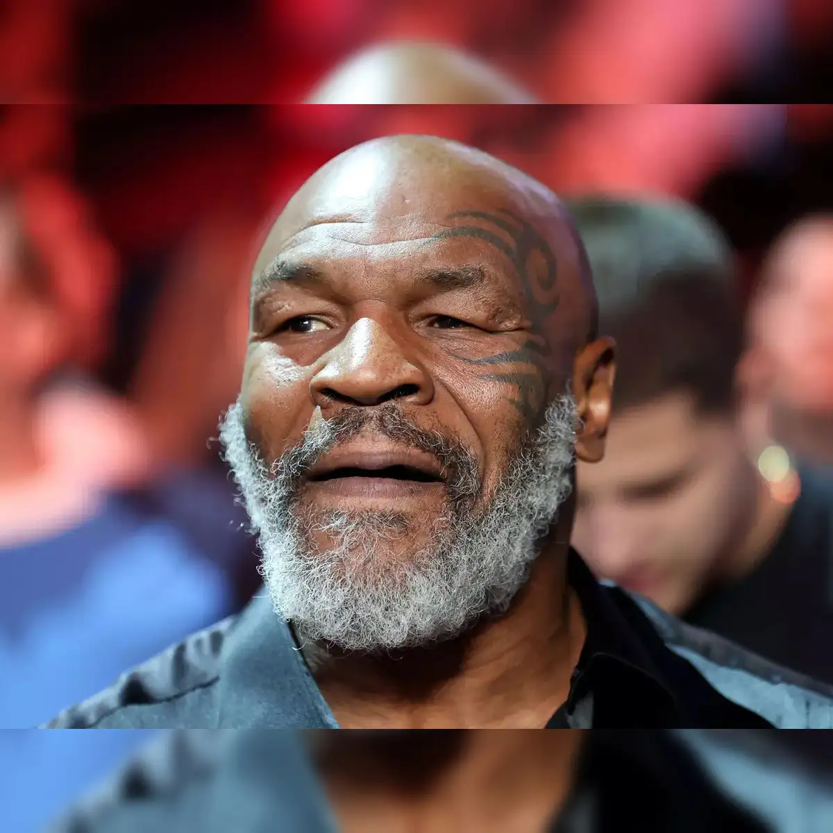 Mike Tyson Zwart En Wit Mike Tyson Boxing Record: Rich History Heading
