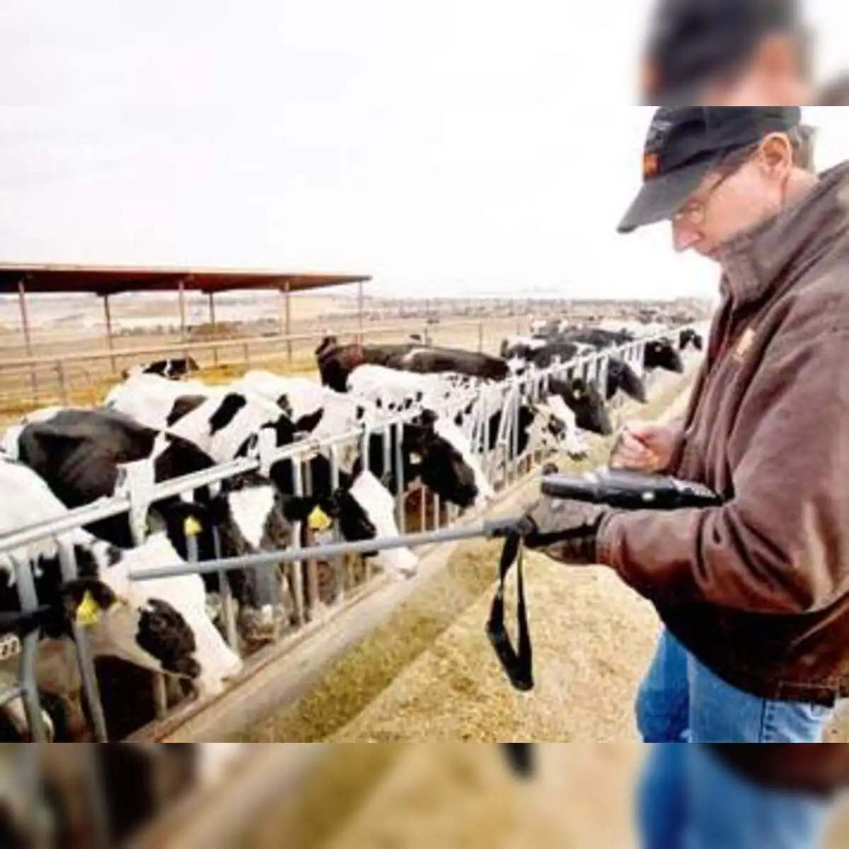 French Dairy Products