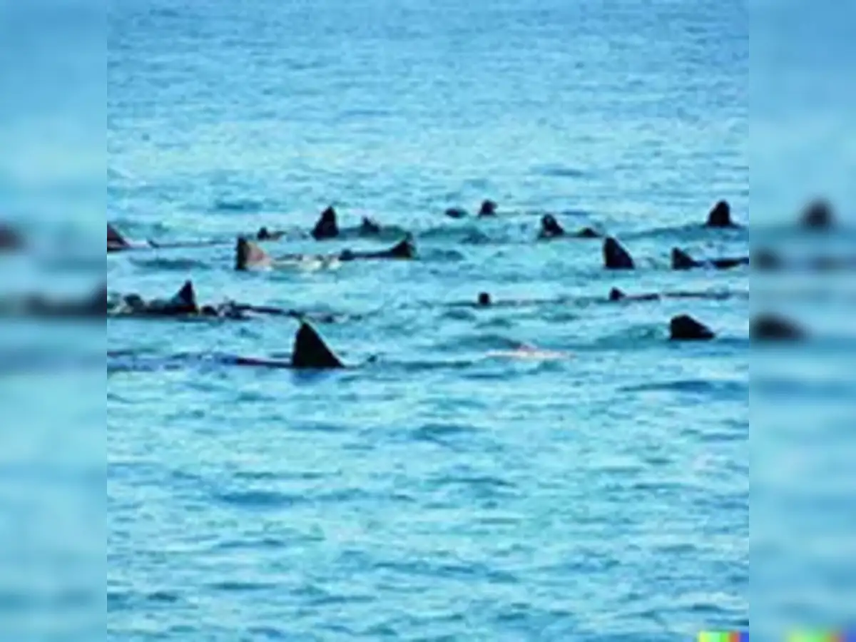 Red Sea Sharks: International Coalition Against Houthi Attacks on ...
