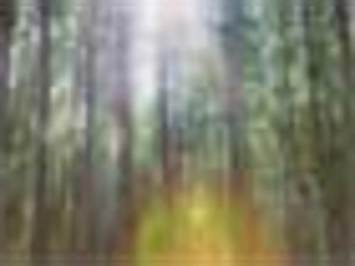 Action, Not Words - The Economic Times